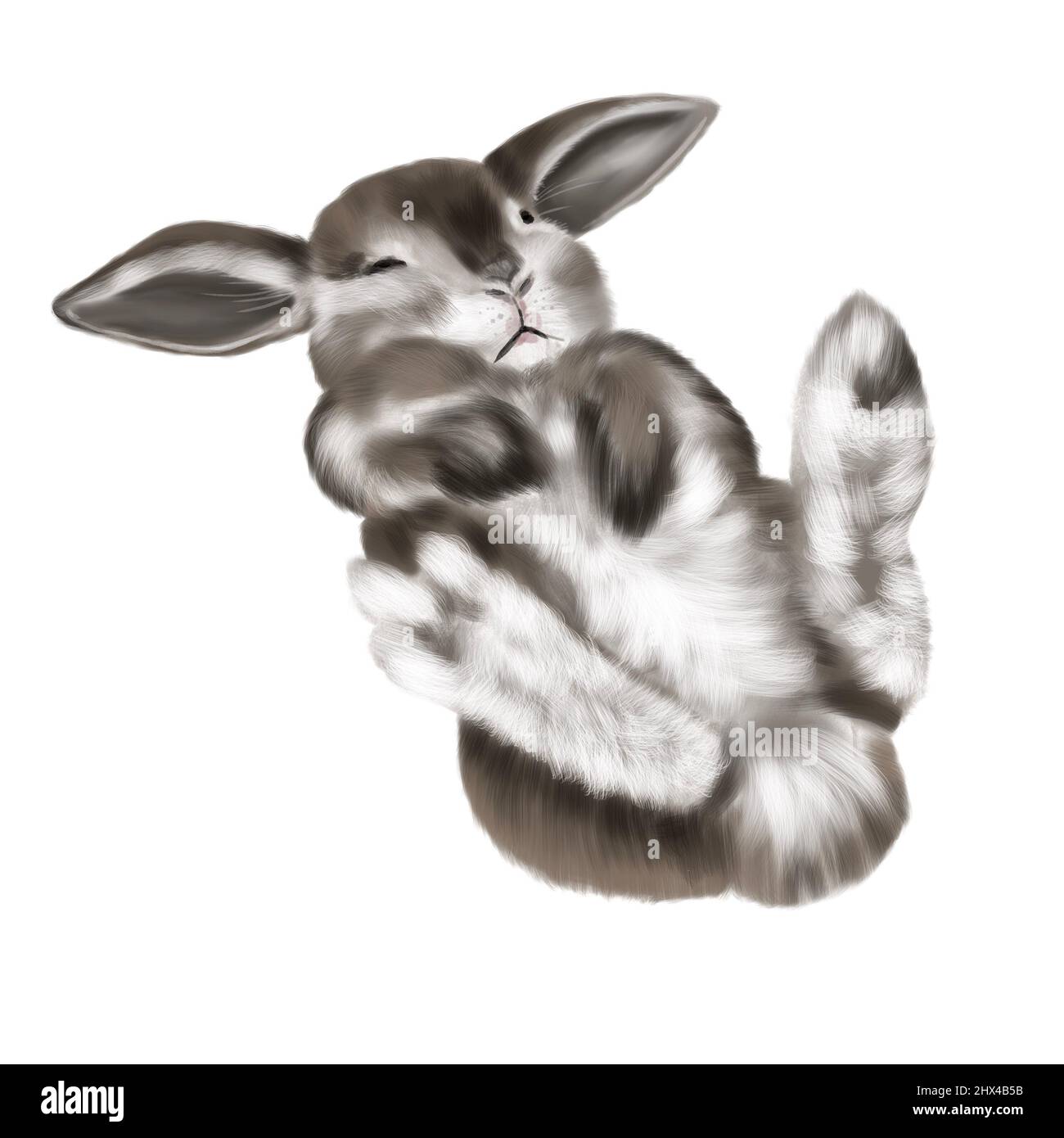watercolor realistic brown rabbit with white belly. Illustration of a ...