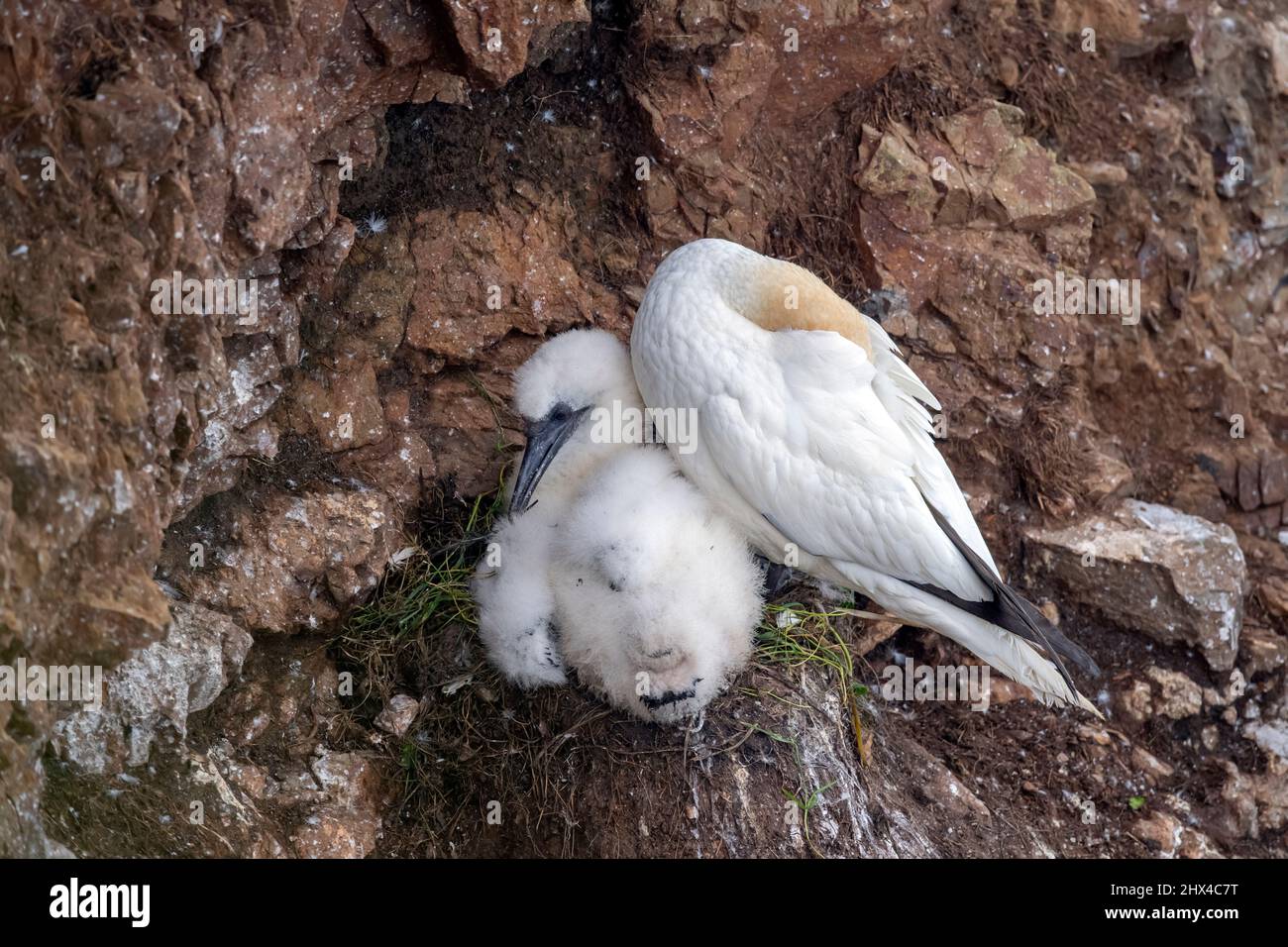 Sleep rock cliff hi-res stock photography and images - Alamy