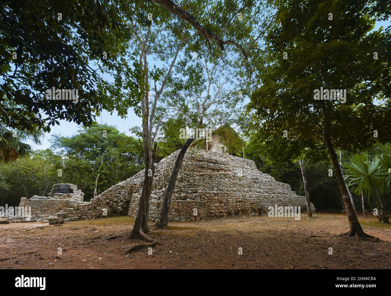 Ancient Mayan city of Cobá, Mexico Stock Photo - Alamy