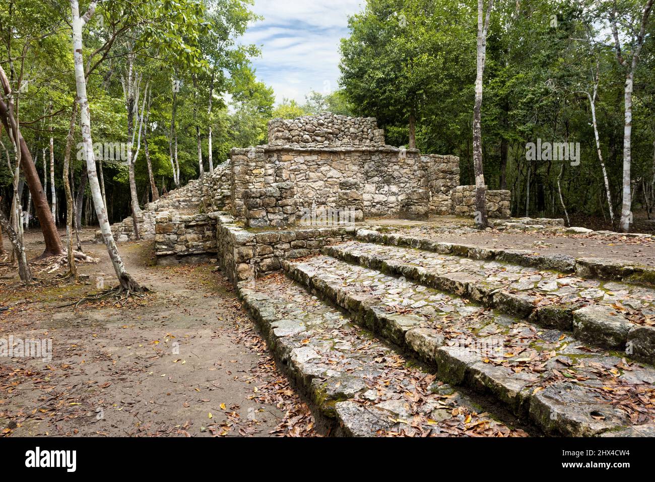 Ancient Mayan city of Cobá, Mexico Stock Photo - Alamy