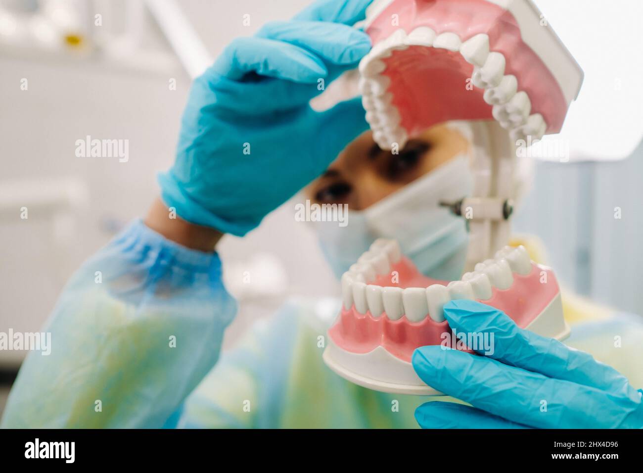A model of a human jaw with teeth and a toothbrush in the dentist's ...