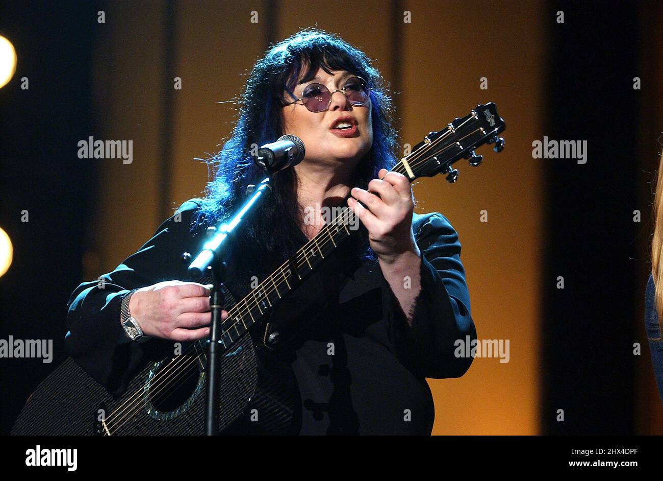 Ann Wilson at the Kodak Theater in Hollywood for the Lifetime TV show ...