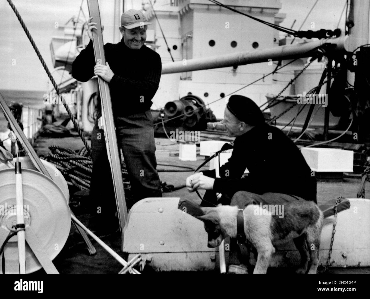 Bob dingle hi-res stock photography and images - Alamy