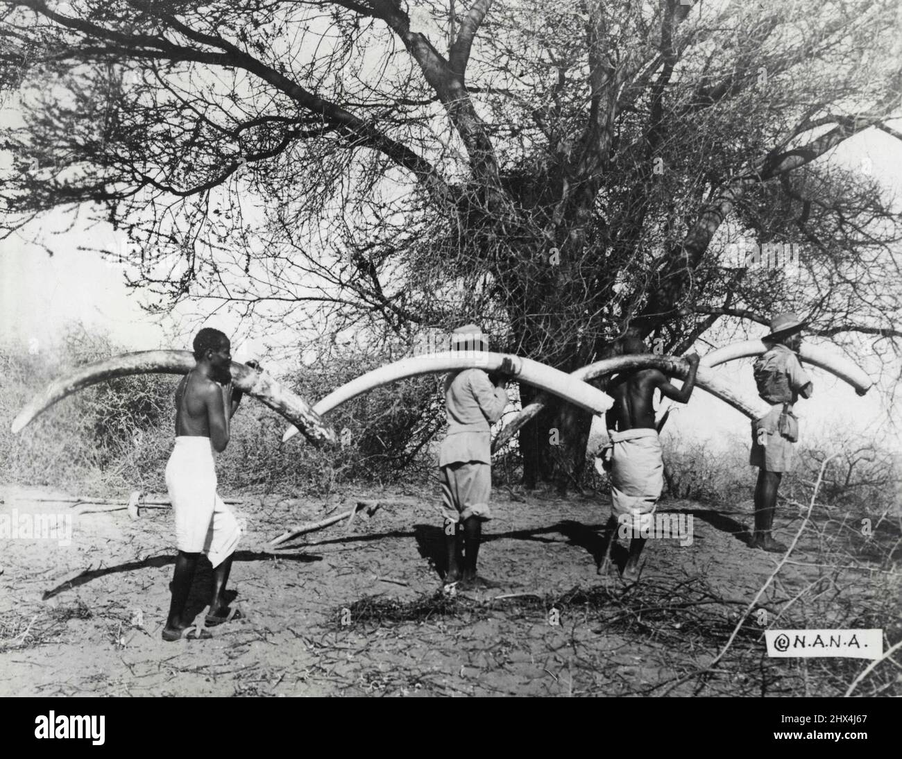 365 feet hi-res stock photography and images - Alamy