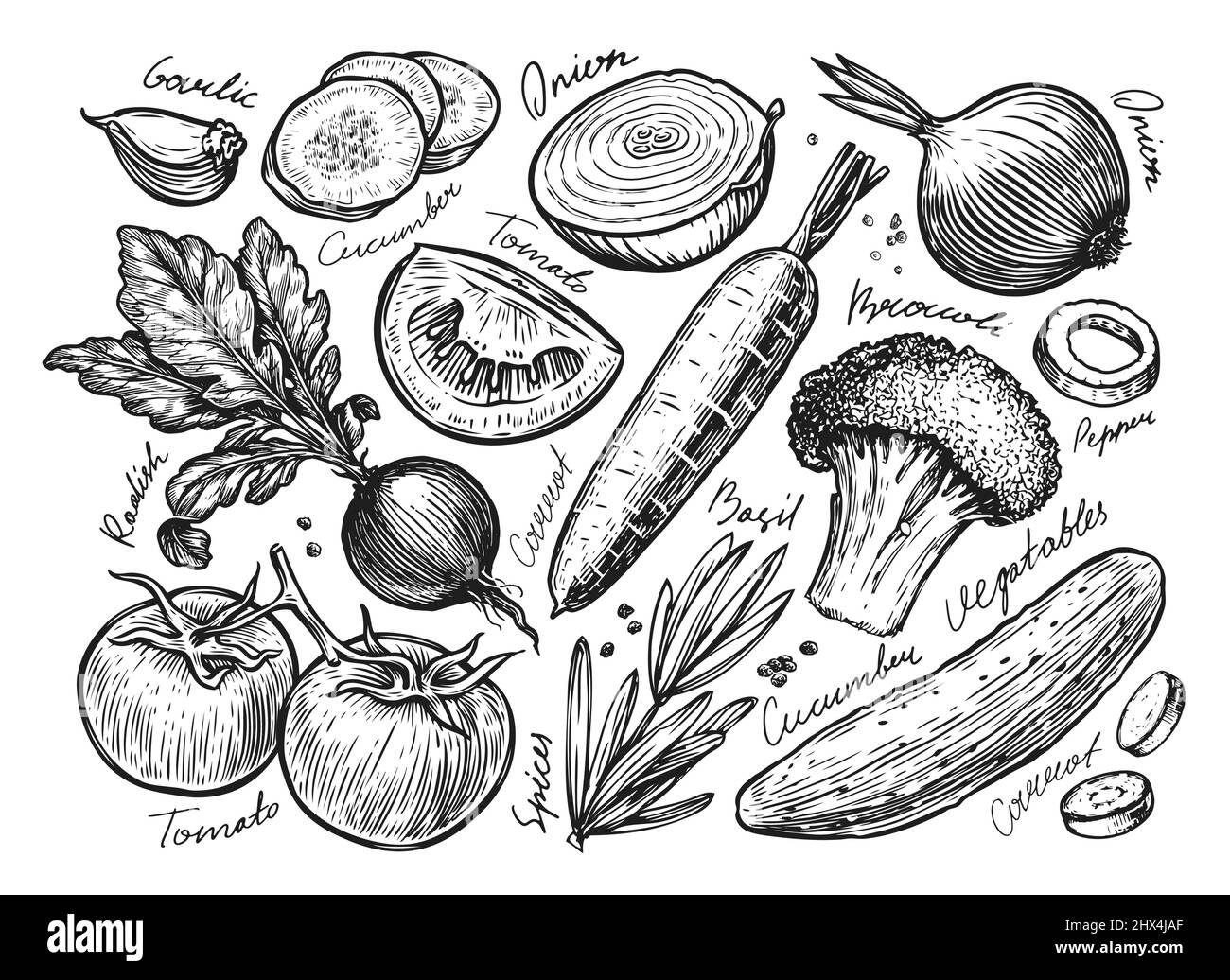 Vegetables set drawn sketch. Farm organic food vintage vector ...
