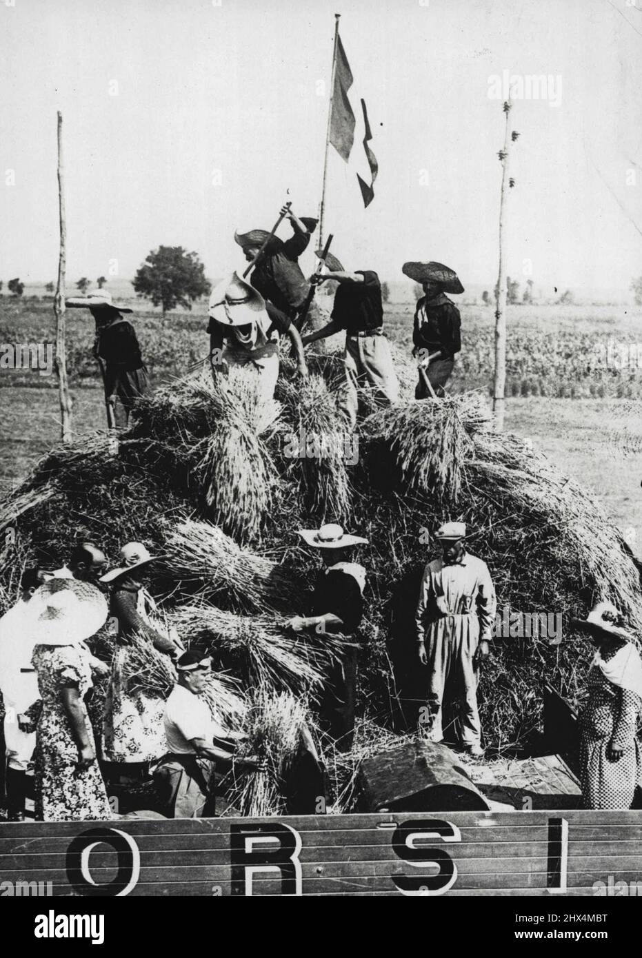 Mussolini As Harvester -- Signor Mussolini both addressed the ***** and ...