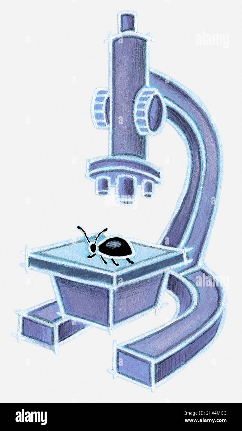 Microscope plate hi-res stock photography and images - Alamy