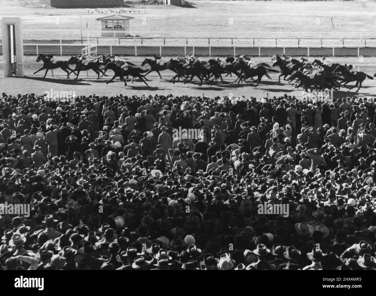 Doomben racecourse hi-res stock photography and images - Alamy