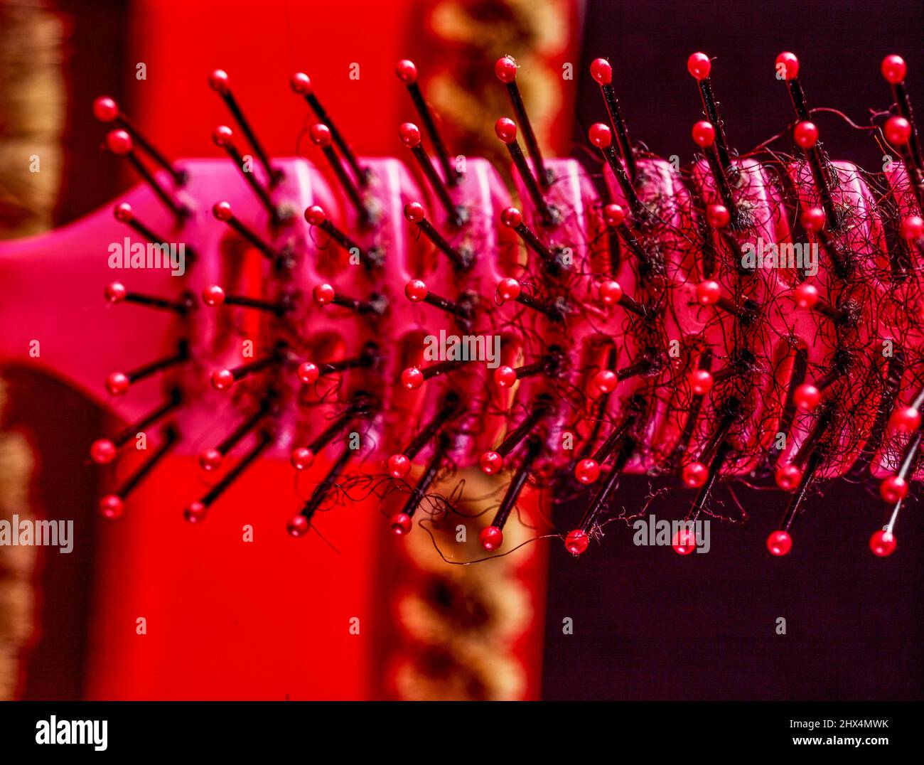 Macro still-life of vivid red human hairbrush with tangled hair Stock ...