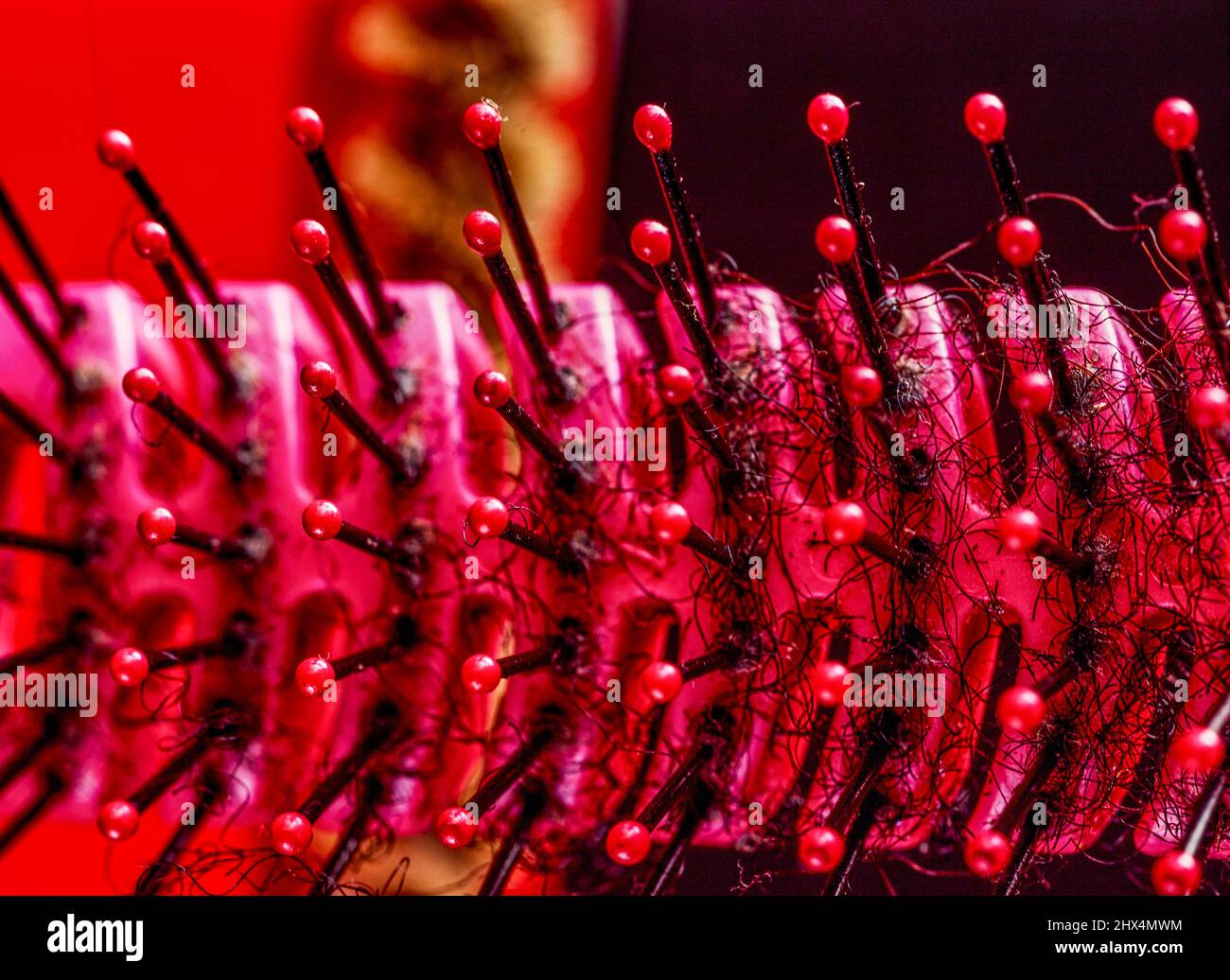 Macro still-life of vivid red human hairbrush with tangled hair Stock ...