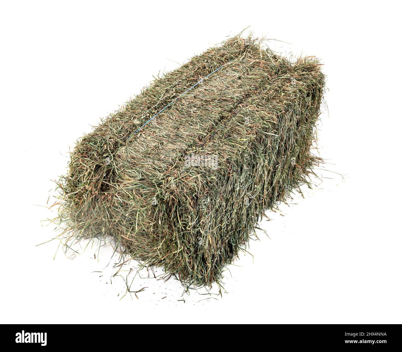 White sheep eating straw hay hi-res stock photography and images - Alamy