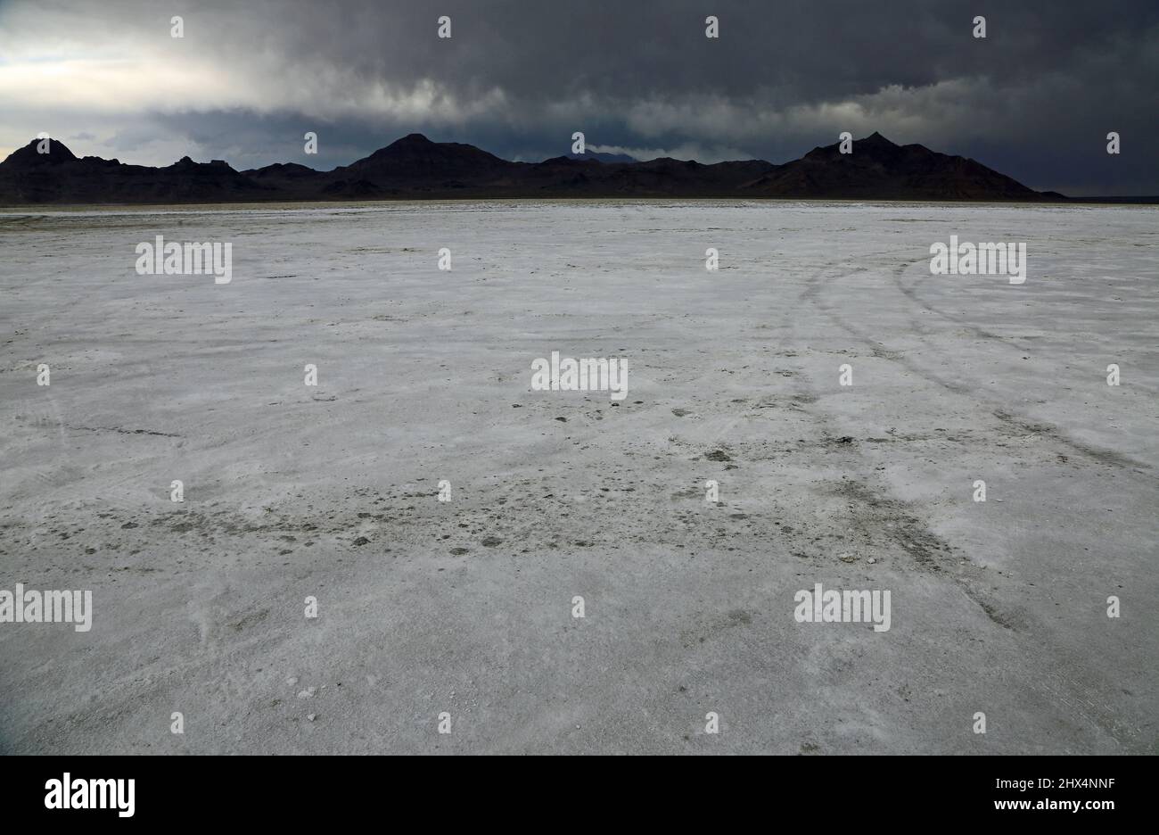 Scenery in salt desert - Bonneville Salt Flats, Utah Stock Photo - Alamy