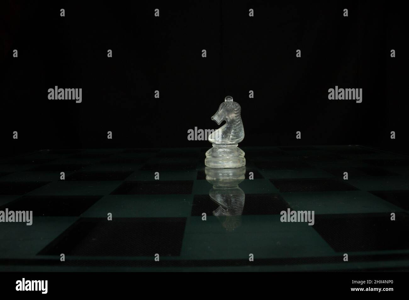single clear chess piece knight isolated on a chequered chess board ...