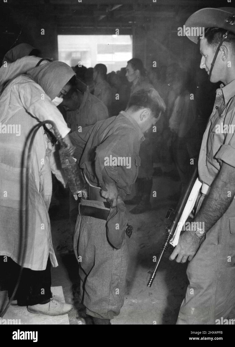 Operation delouse hi-res stock photography and images - Alamy