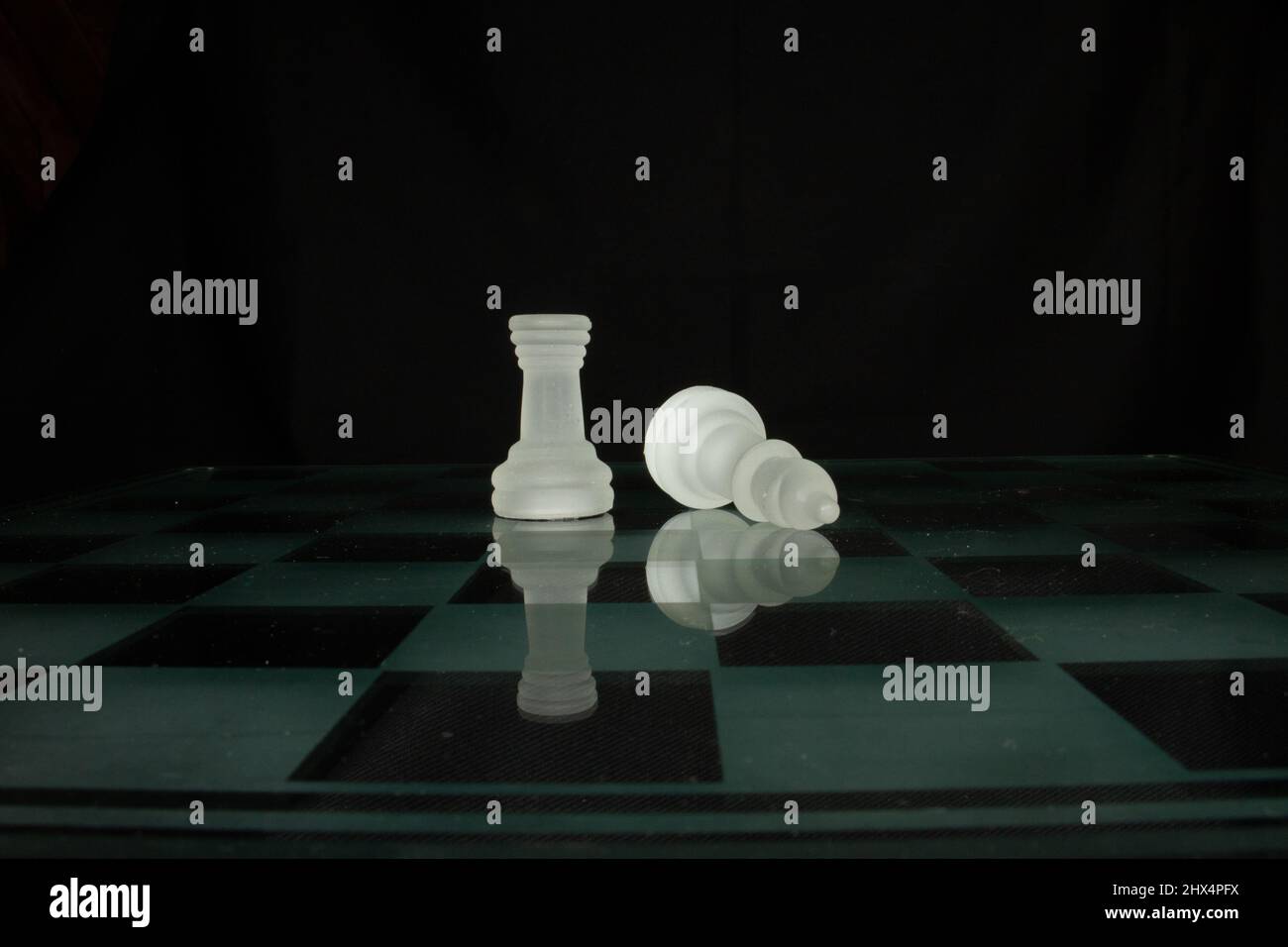 white opaque chess piece knight and fallen bishop isolated on a ...