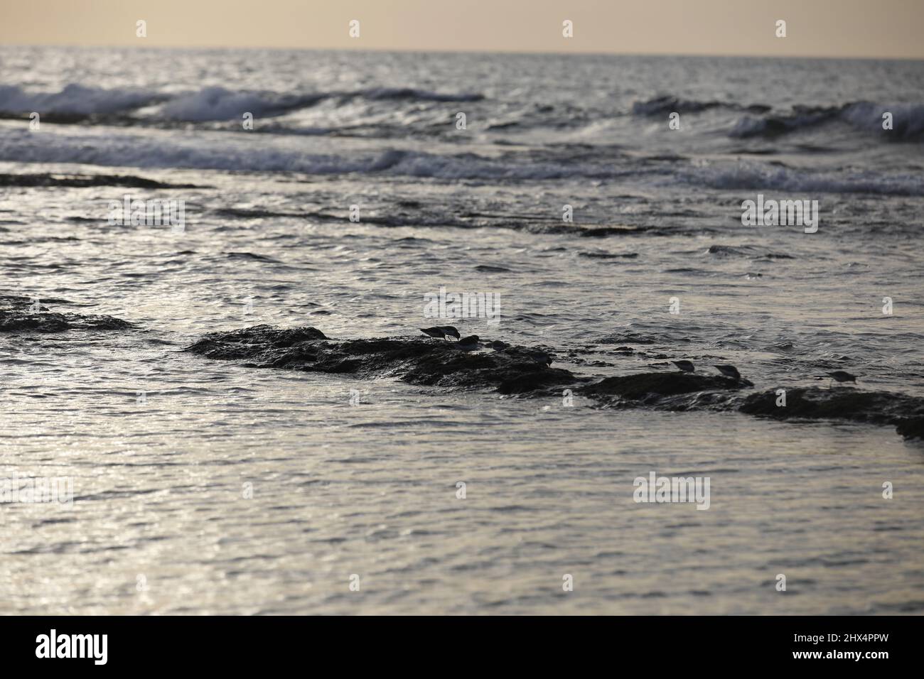 low waves on the shore of a beach High quality Stock Photo - Alamy