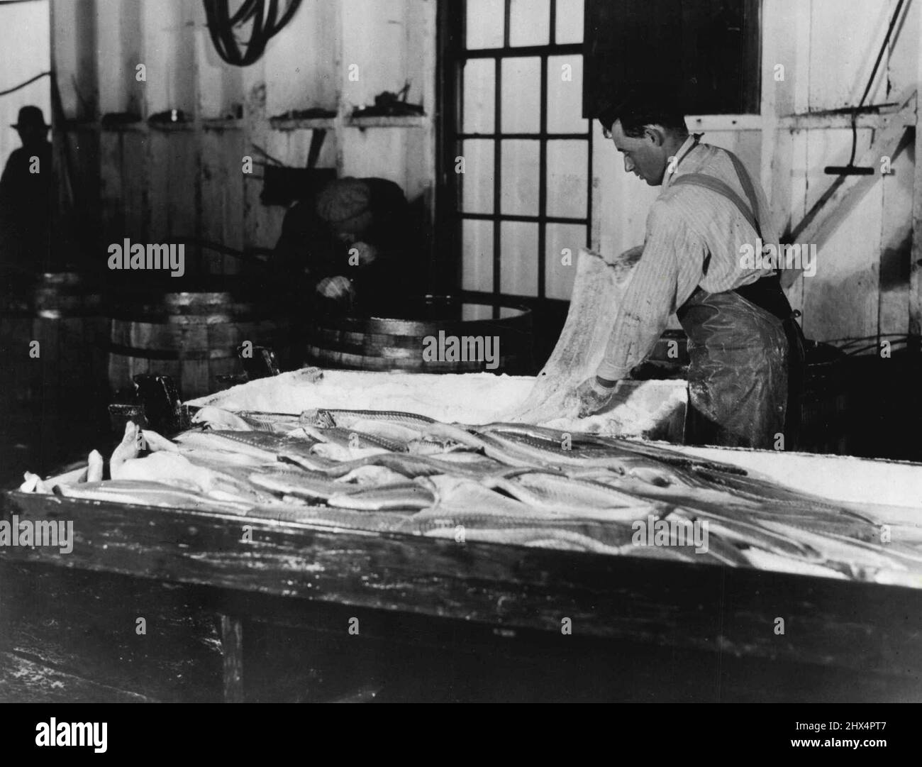 Vintage salmon export british columbia hi-res stock photography and ...