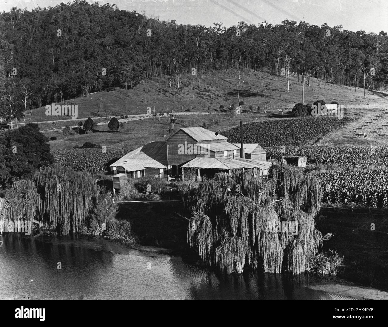 Coomera river hi-res stock photography and images - Alamy