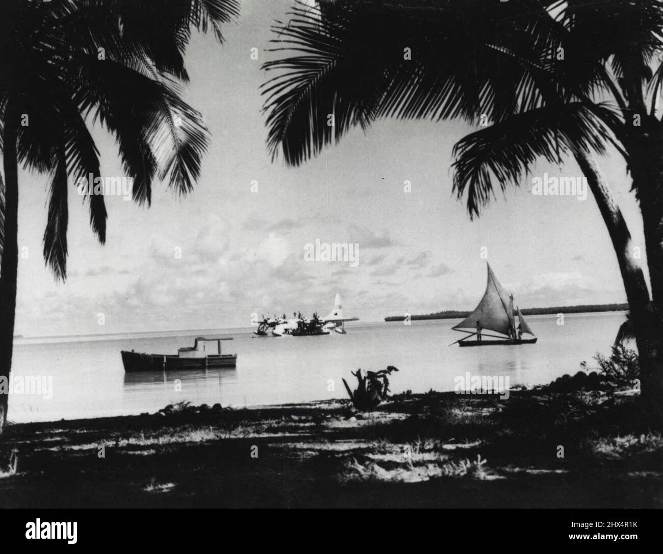 Akaiami hi-res stock photography and images - Alamy