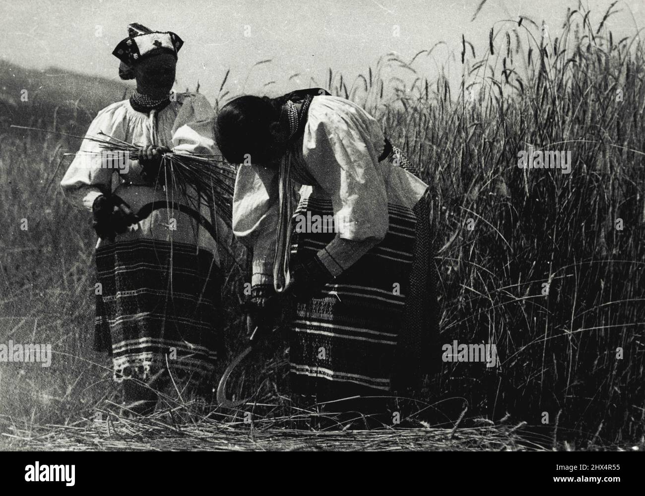 Czecho slovaks hi-res stock photography and images - Alamy