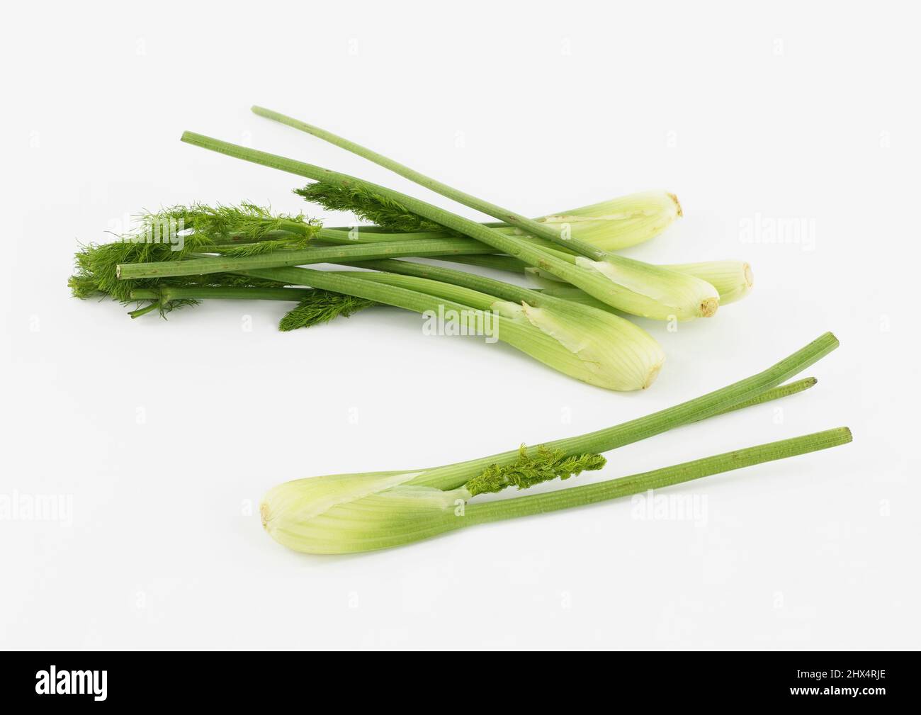 Baby fennel hi-res stock photography and images - Alamy