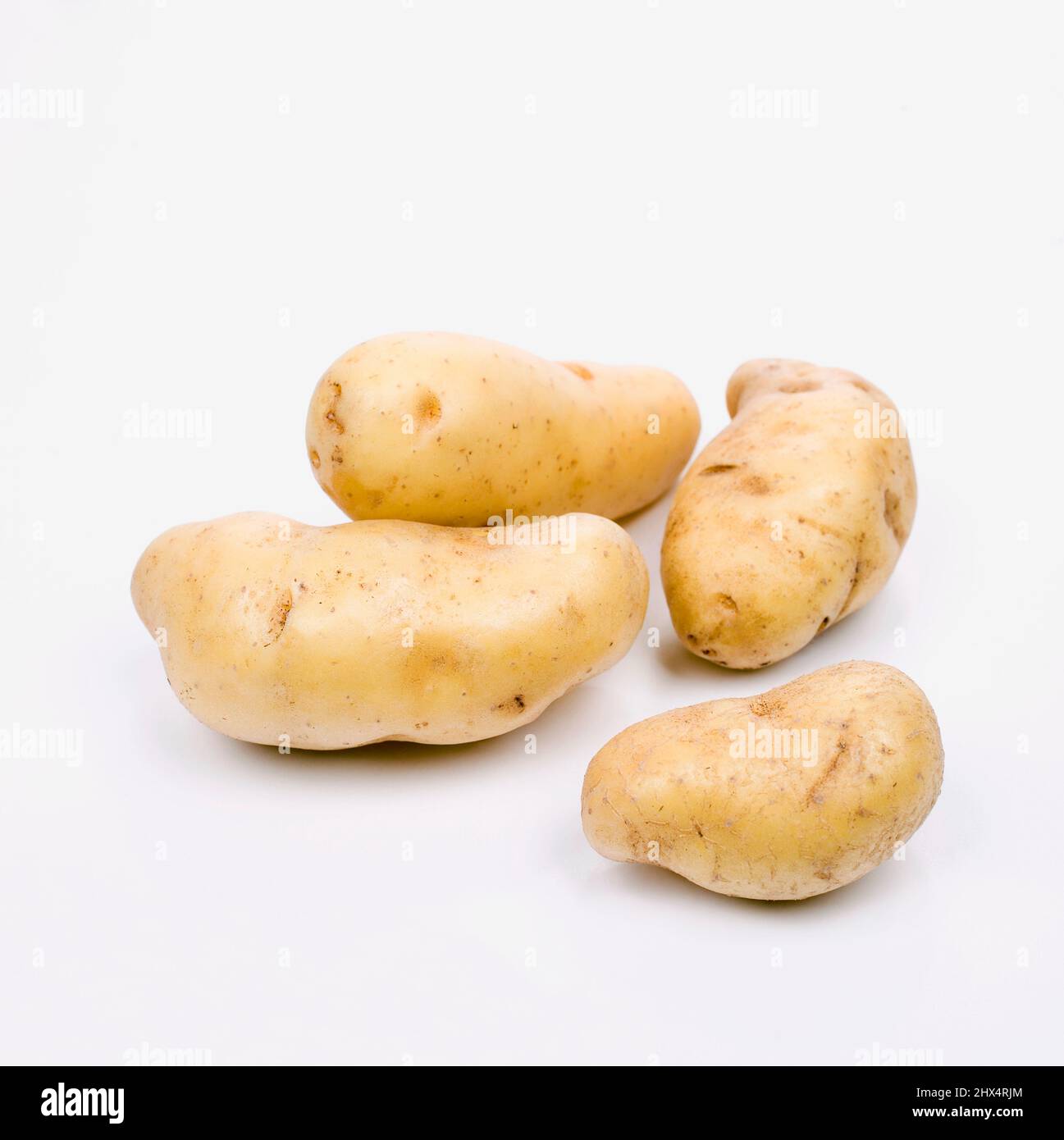 Ratie hi-res stock photography and images - Alamy