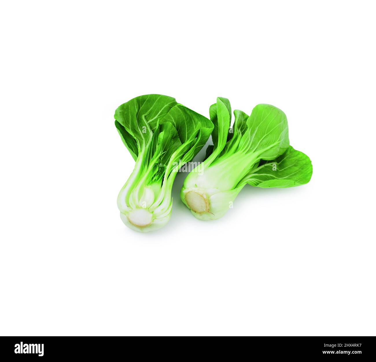 Chinese cabbage or Bok Choy (Brassica rapa Stock Photo - Alamy