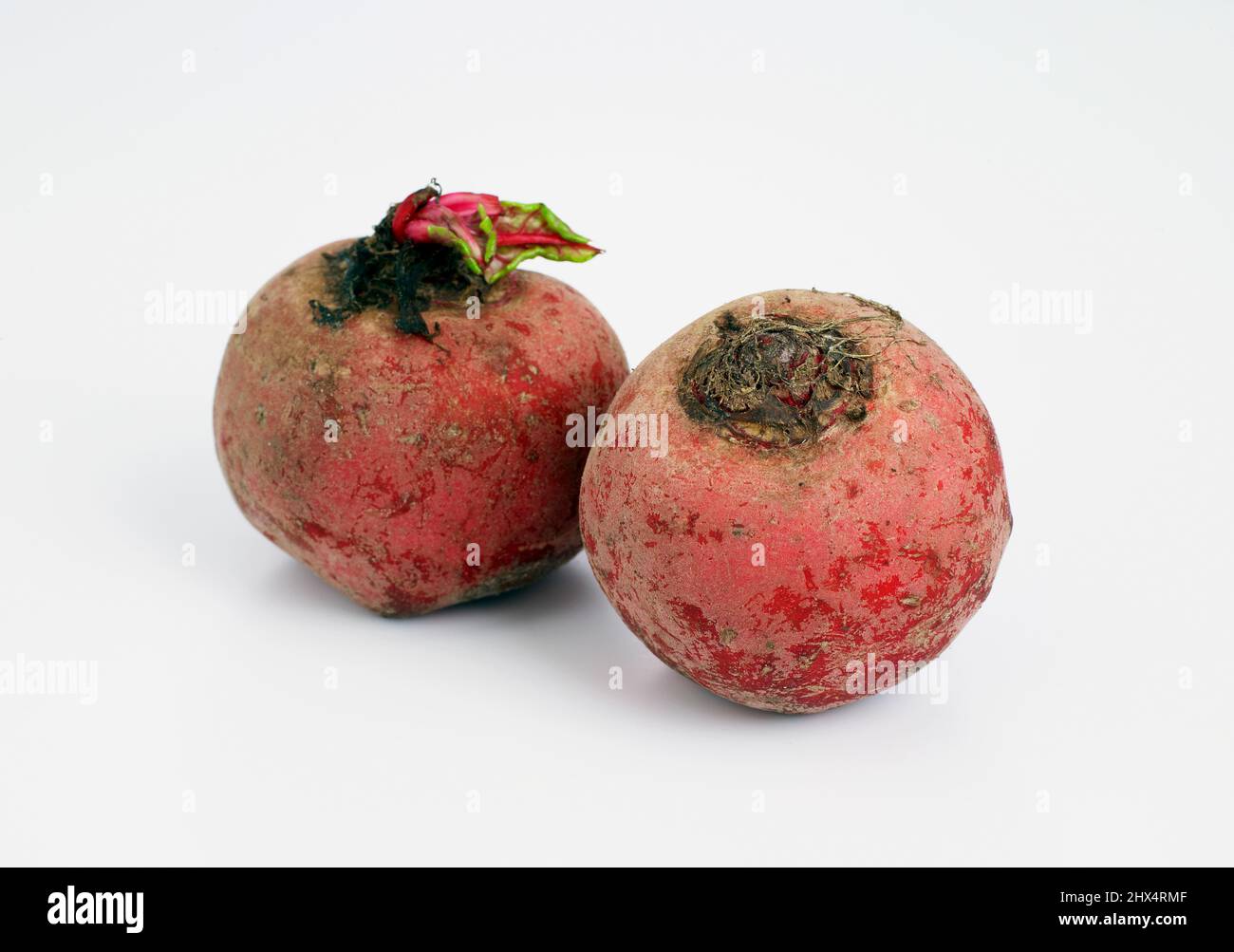 Candy stripe beetroot hi-res stock photography and images - Alamy