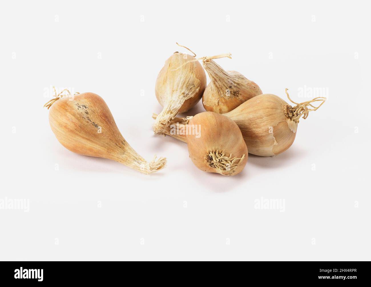 One colour and objects hi-res stock photography and images - Alamy