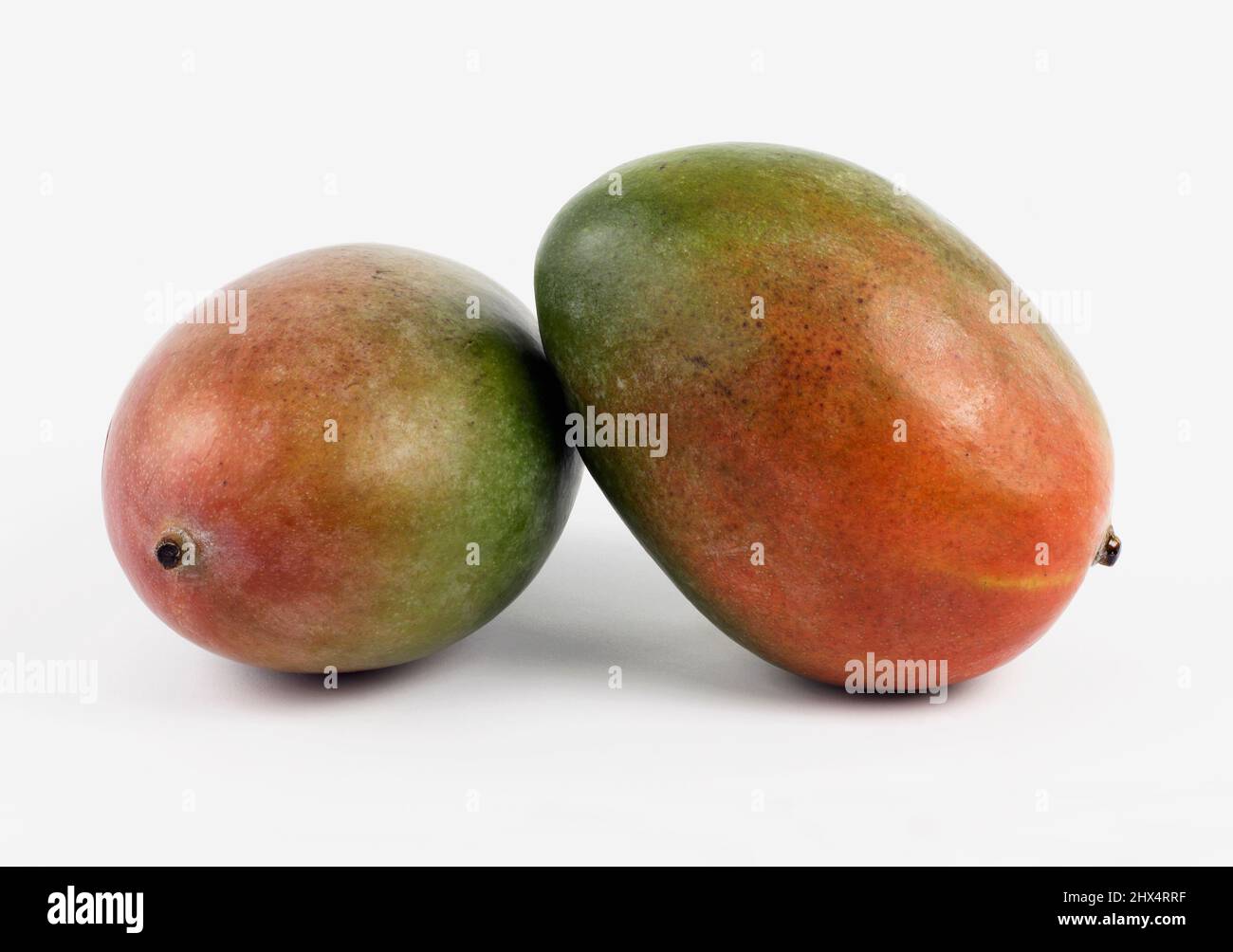 Kent mangoes hi-res stock photography and images - Alamy