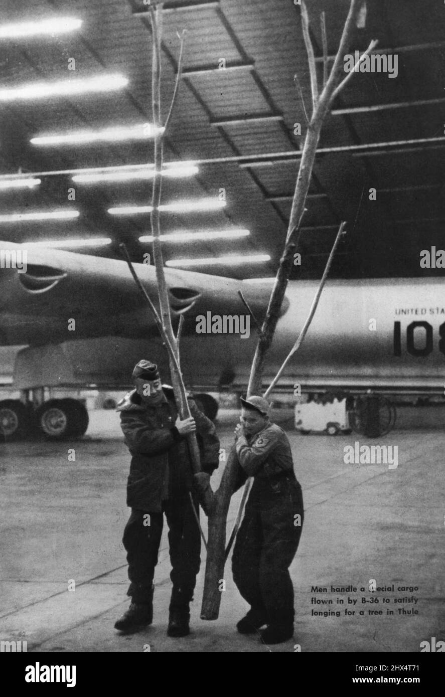 Thule tree hi-res stock photography and images - Alamy