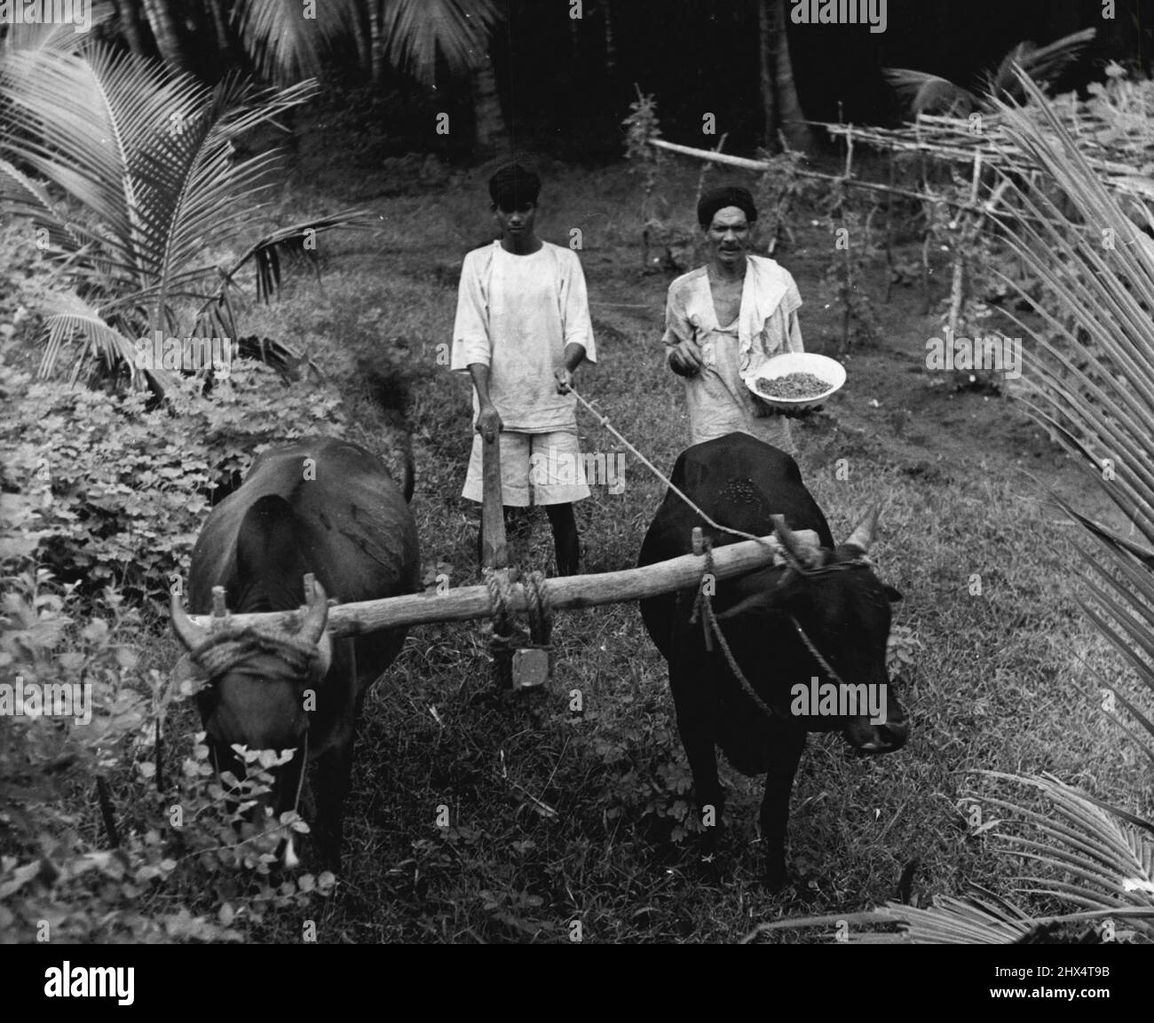 A Village In India -- Sako and his son, Vaso, leave home with their ...