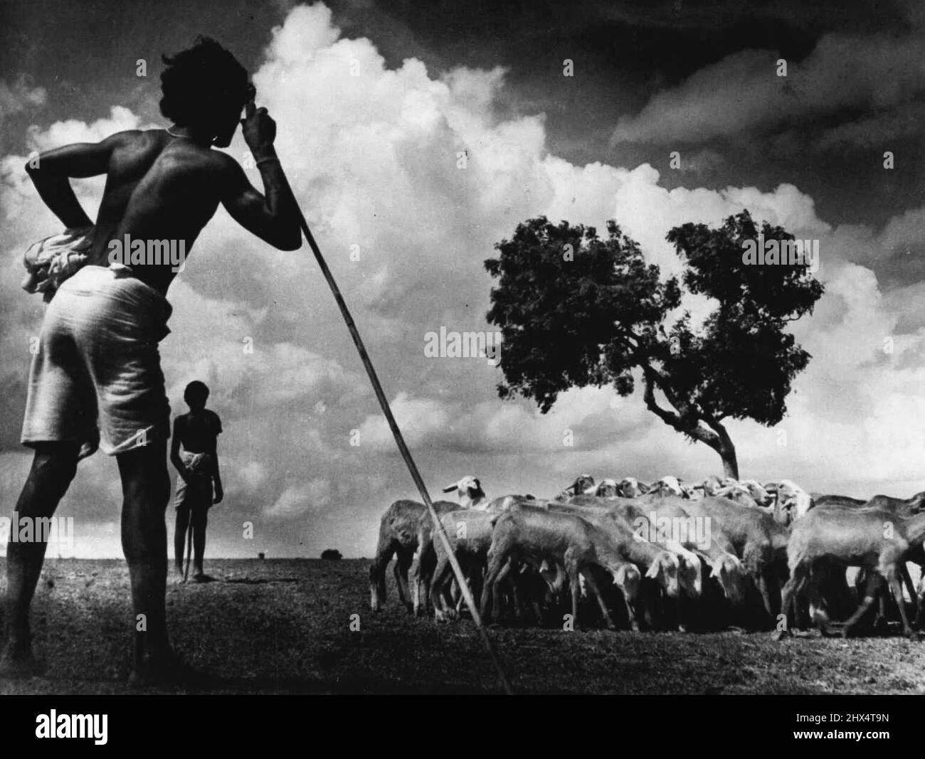 Agriculture & Farming Scenes - India. November 10, 1953. (Photo by ...