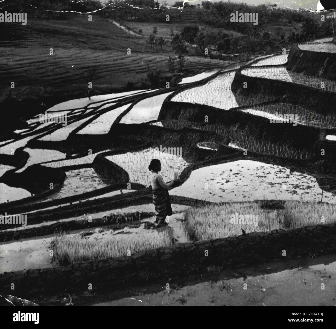 1940 indonesia hi-res stock photography and images - Alamy