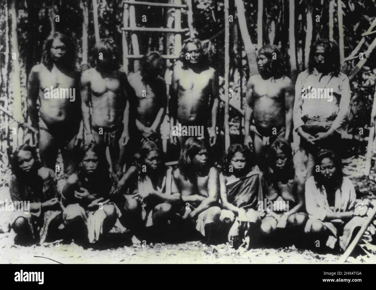 Great nicobar island hi-res stock photography and images - Alamy