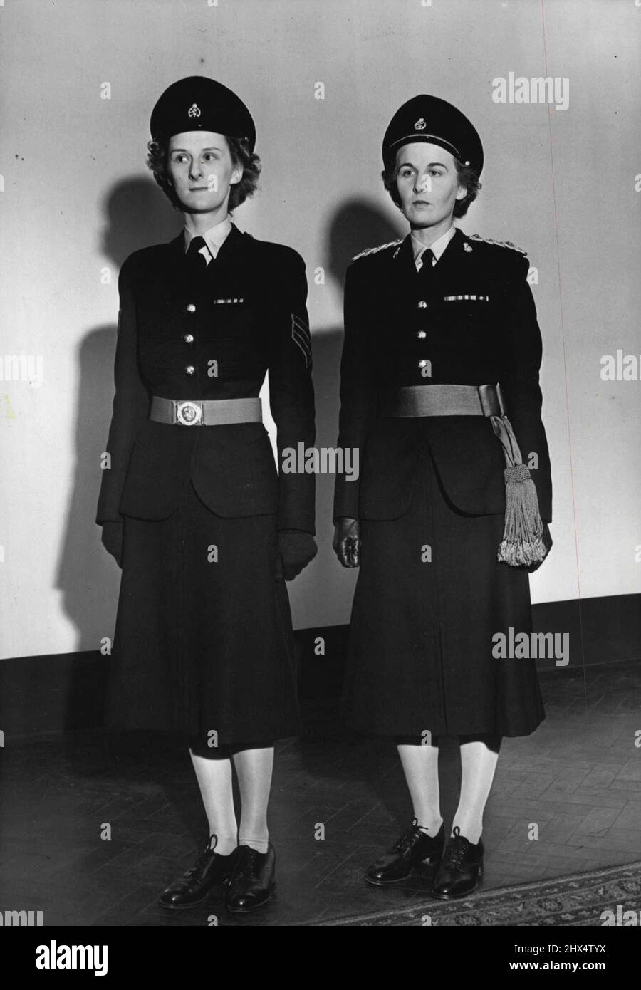 Partridge photos hi-res stock photography and images - Alamy