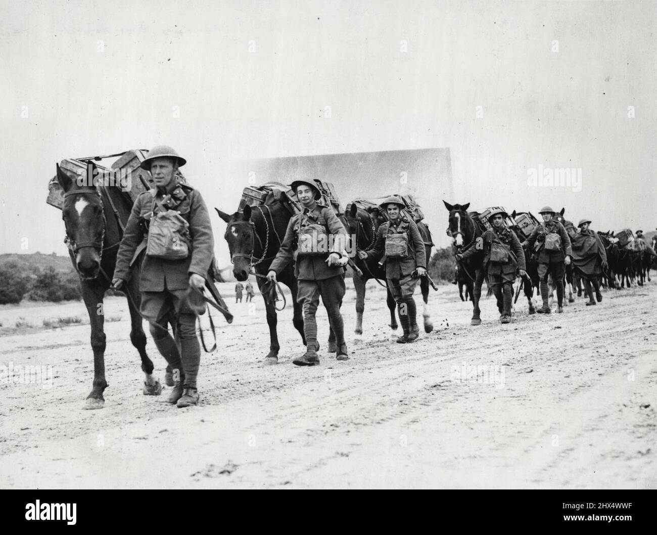 A long line of pack animals of the British army at the school where ...
