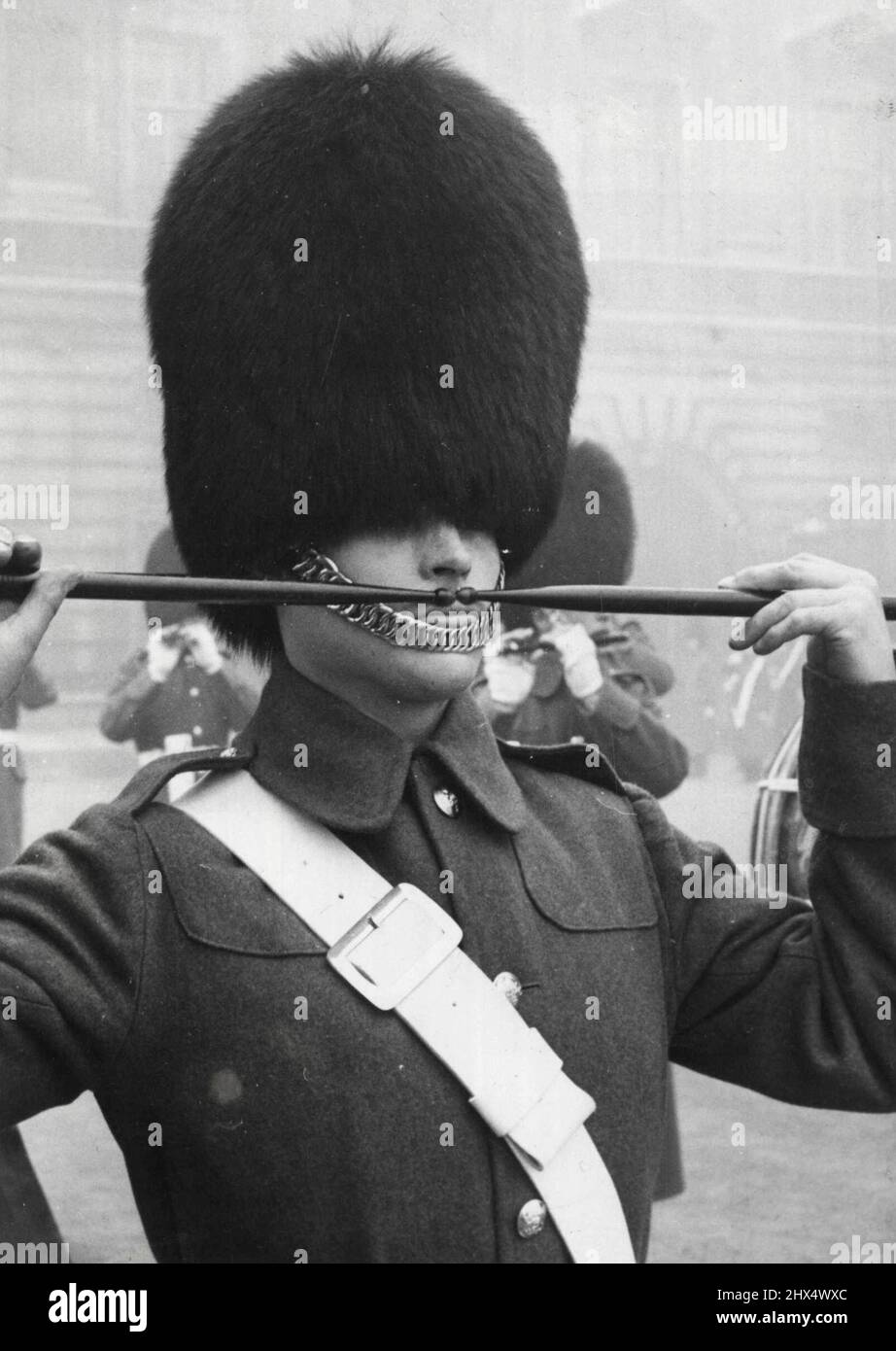 A bearskin under which he can only just see, a gleaming chinstrap which ...