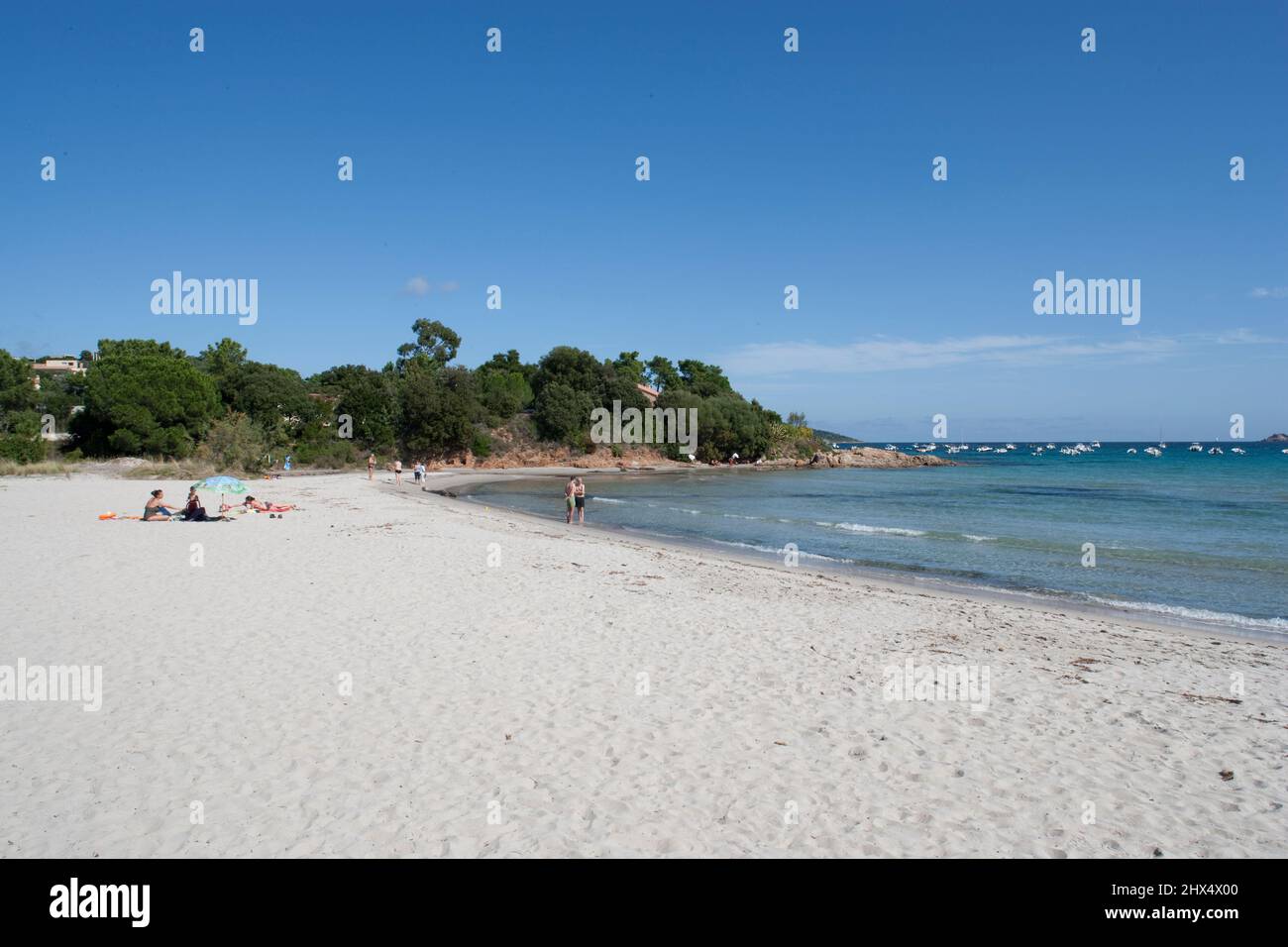 France, Corsica, Porto-Vecchio, Plage de Pinarellu Stock Photo - Alamy
