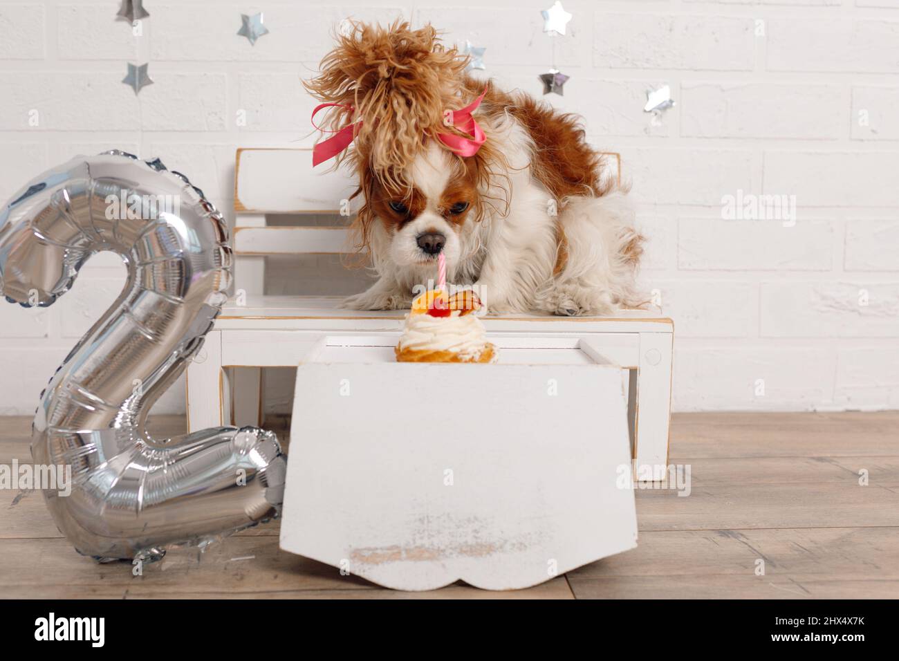 Sniffing cake hi-res stock photography and images - Alamy