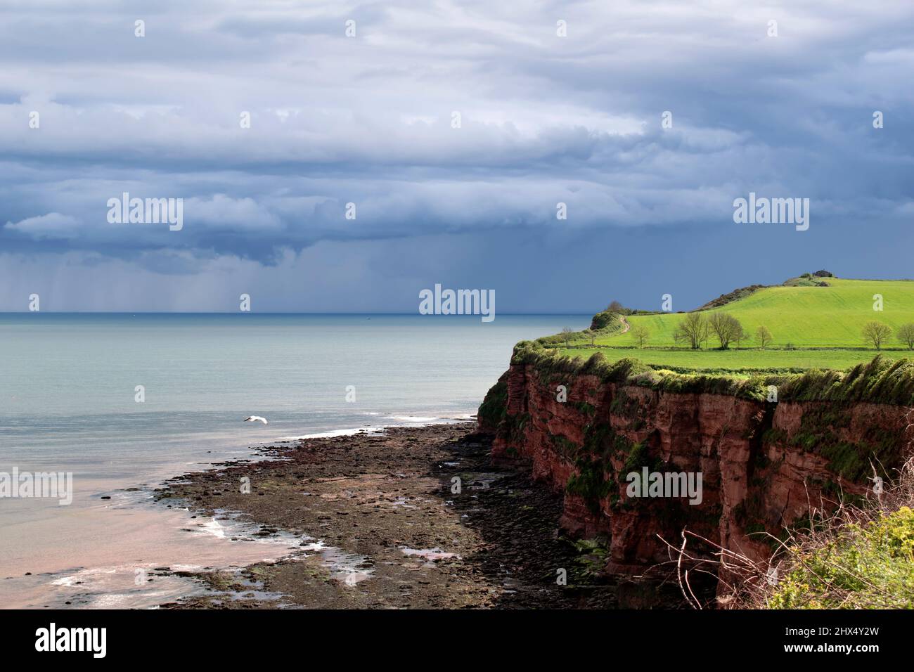 Seaside cliff landscape hi-res stock photography and images - Alamy
