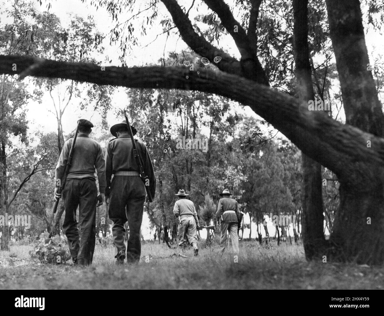 Italian Prisoners of War in Australia. April 05, 1946 Stock Photo - Alamy