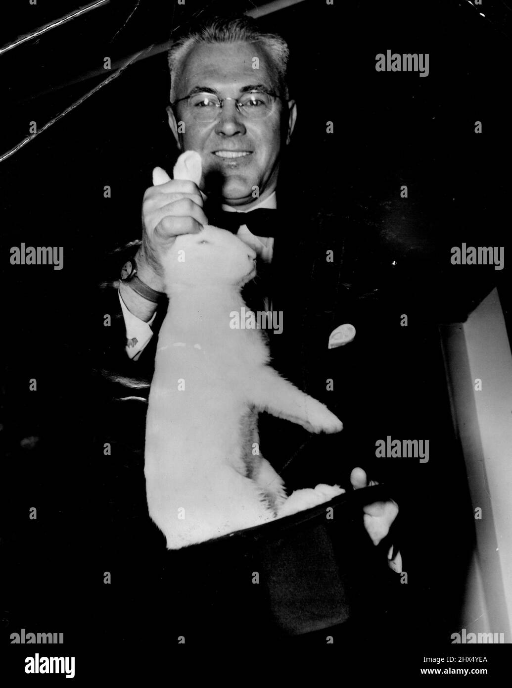 Mr. Connelly rabbits at lost. October 20, 1950 Stock Photo - Alamy