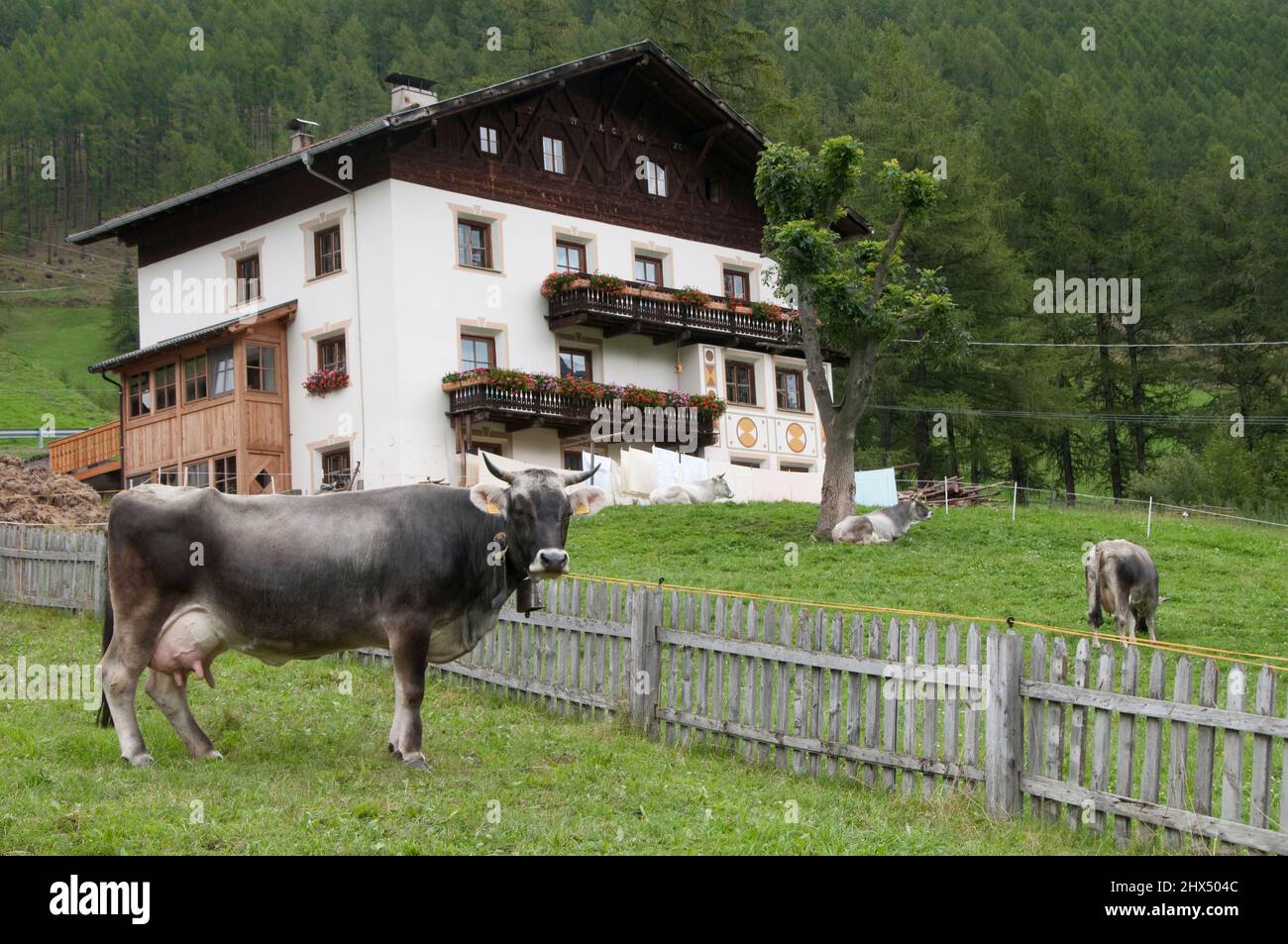 Back Roads Northern Italy -Drive 8, Back Roads Northern Italy, Italy ...