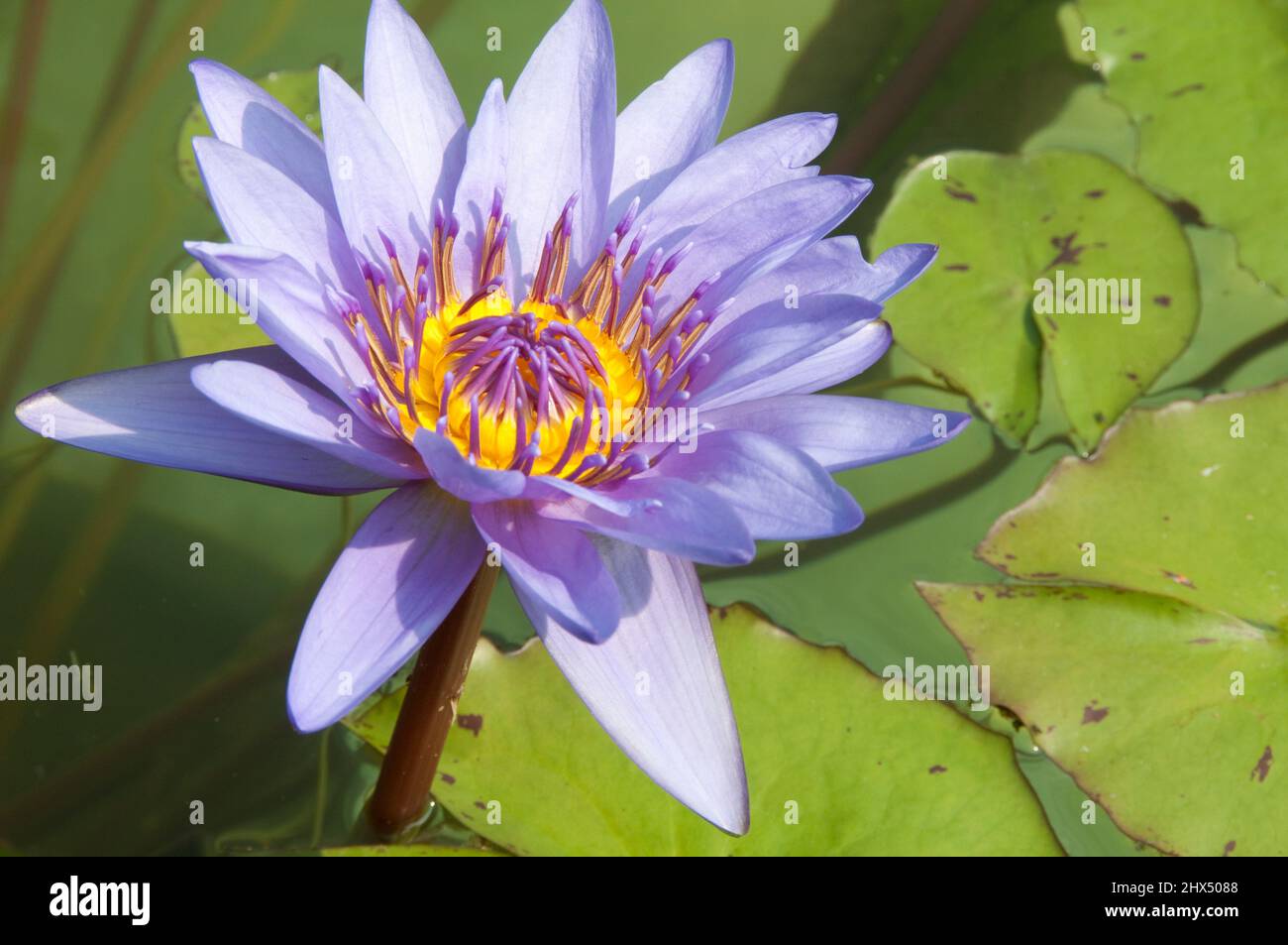 Back Roads Northern Italy - Drive 3, Back Roads Northern Italy, Italy ...