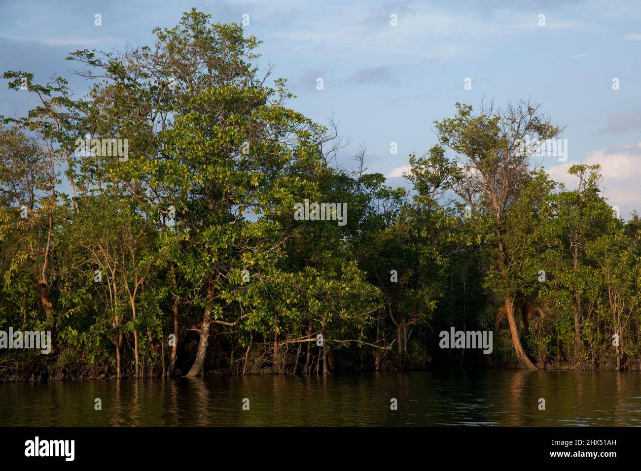 Botum Sakor National Park