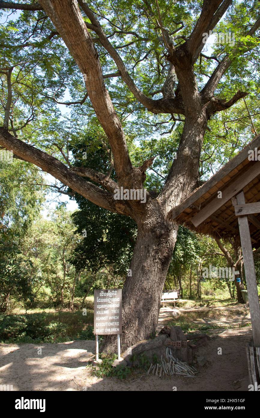 Cambodia, Phnom Penh, Choeung Ek, Killing Fields, killing tree Stock ...