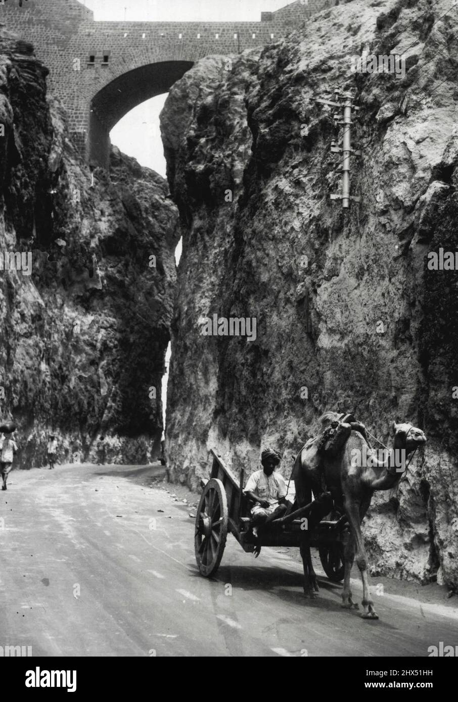 No Transport Problem Here. The camel-cart, ancient mode of transport ...