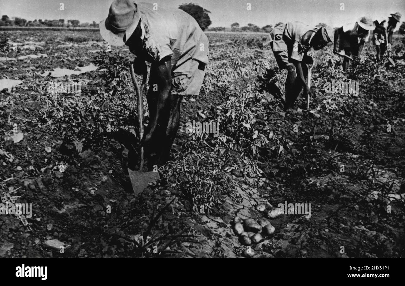 White farmers rhodesia hi-res stock photography and images - Alamy