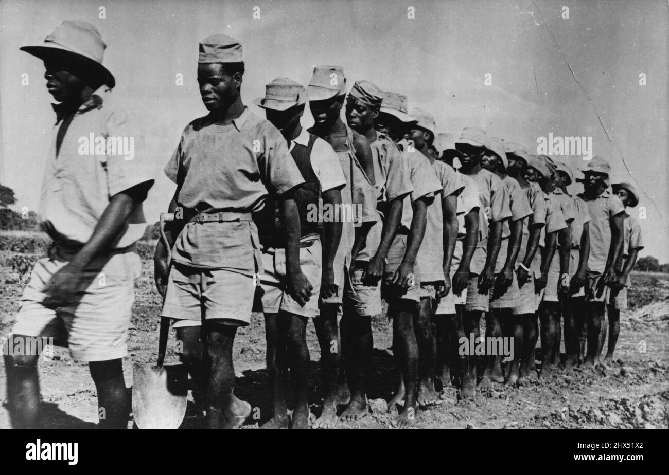 White farmers rhodesia hi-res stock photography and images - Alamy